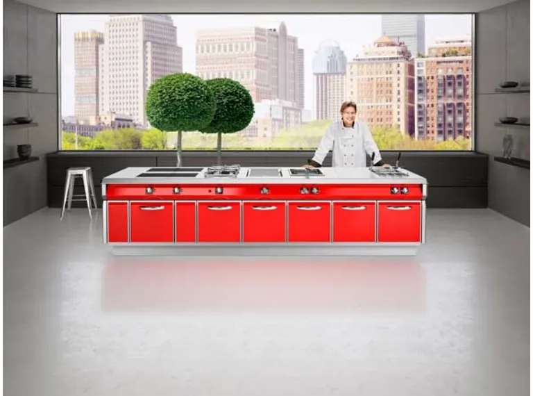 Blocchi cucina professionali